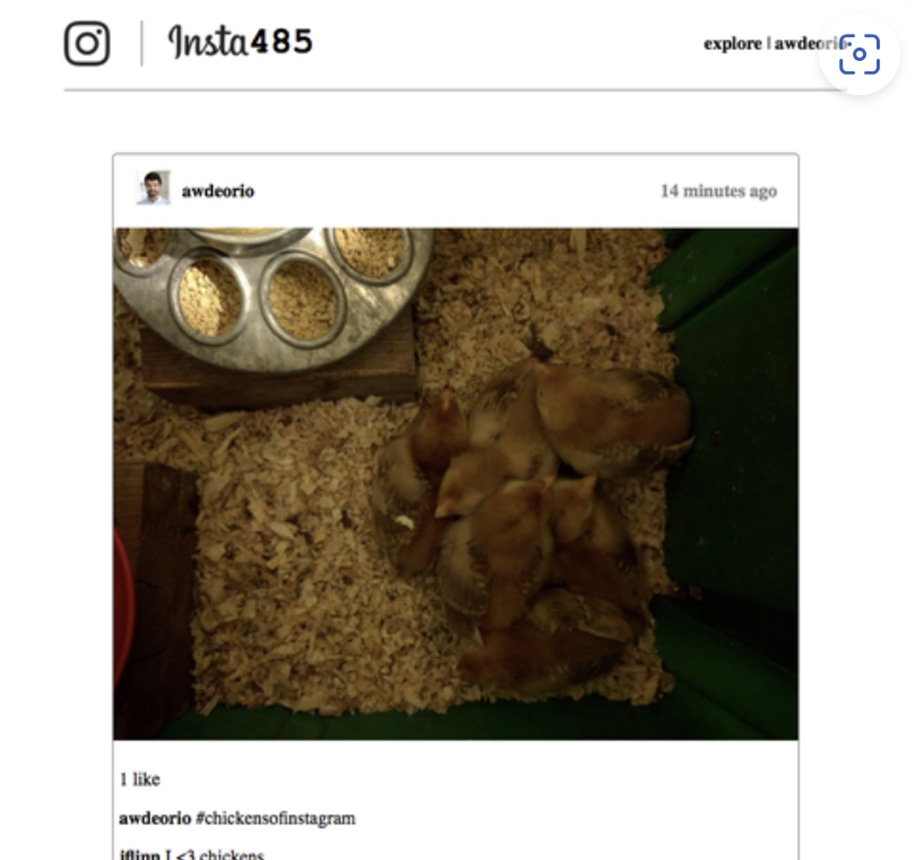 Rushil Talla's Portfolio